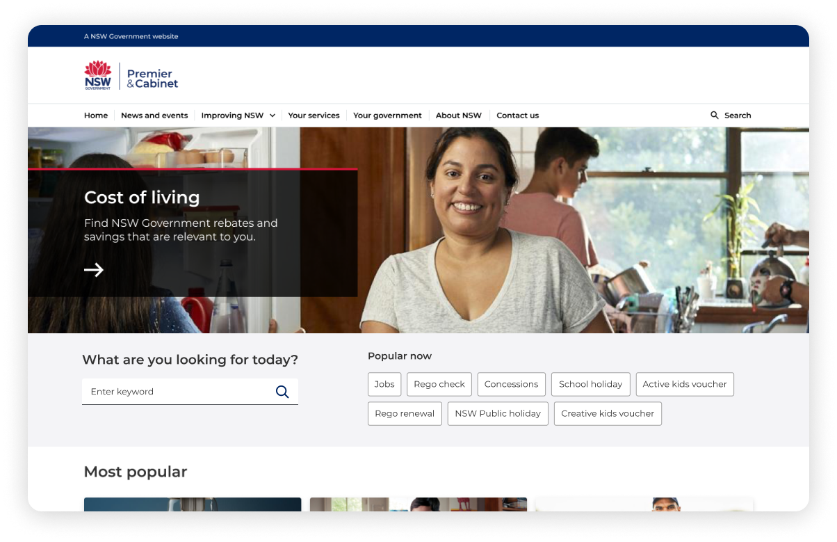 NSW Government – Design System – Visual Icecream – Brett Walsh
